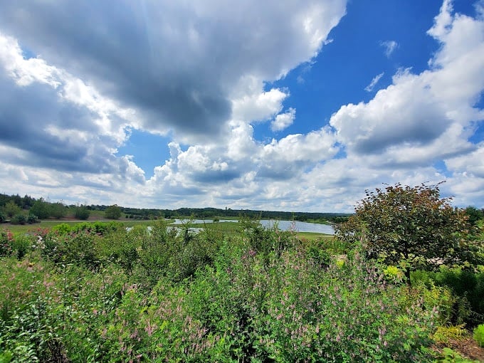 Oklahoma skies put on their own show above the garden, with cloud formations that look like they're auditioning for a Renaissance painting.