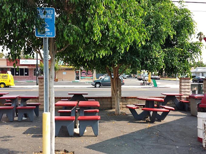 These no-nonsense picnic tables have hosted more memorable meals than many five-star restaurants. Simple, sturdy, perfect.