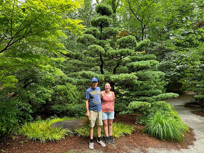 Carefully sculpted Japanese pine creates the perfect backdrop for visitor photos&mdash;nature's version of a Hollywood set designer at work.