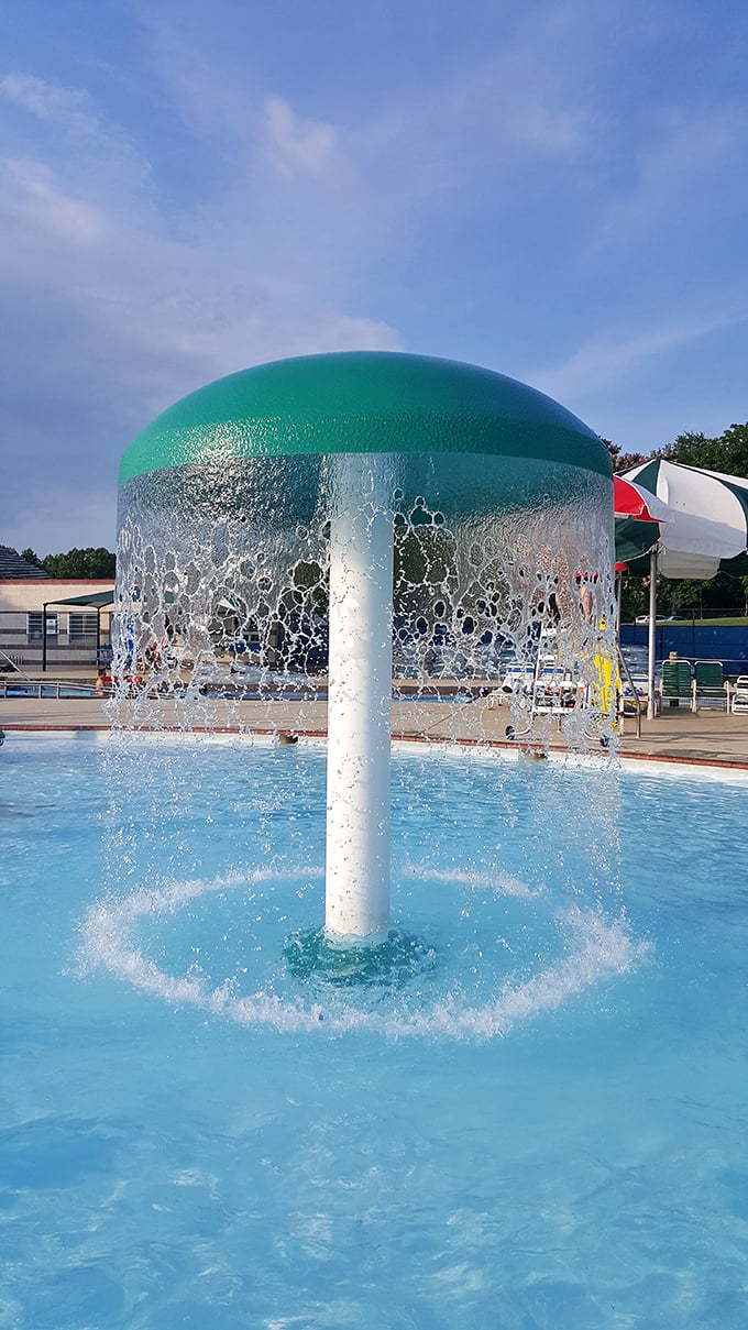 This mushroom fountain creates a watery curtain of joy&mdash;nature's air conditioning with a side of giggles and the occasional surprised shriek.