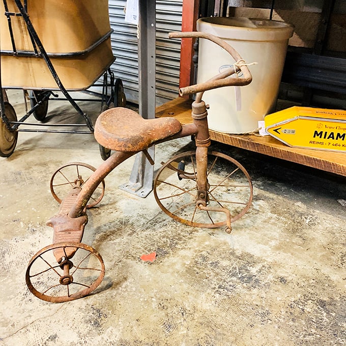 This rust-covered tricycle has survived decades of sidewalk adventures and knee scrapes. If only it could share stories of its pint-sized daredevil riders.