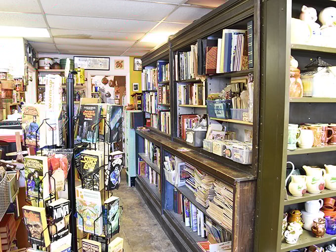 Books, comics, and curiosities line these shelves like an analog version of the internet &ndash; endless rabbit holes of discovery.