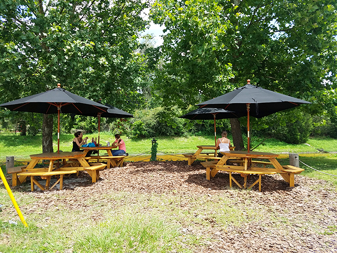 Nature provides the ceiling, wooden picnic tables offer community, and those umbrellas ensure your burrito experience remains uninterrupted by Florida's enthusiastic sunshine.