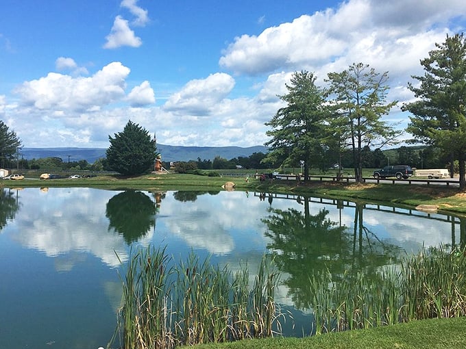 Morning mist creates perfect reflections on this valley pond. The kind of tranquility that makes you whisper even though there's nobody around to disturb.