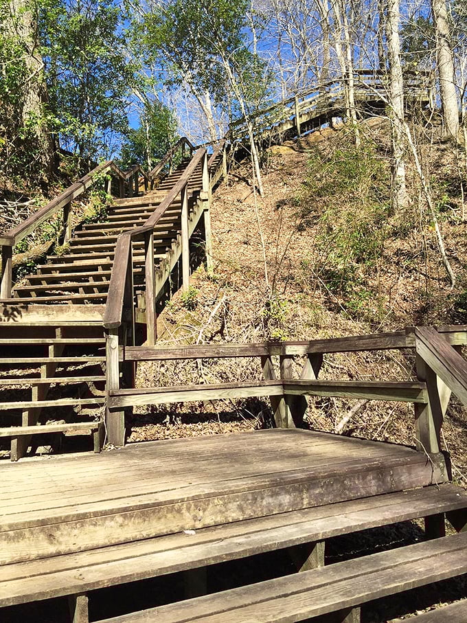 The wooden stairways of Clark Creek Natural Area may challenge your quads, but the views along the trail reward every step.