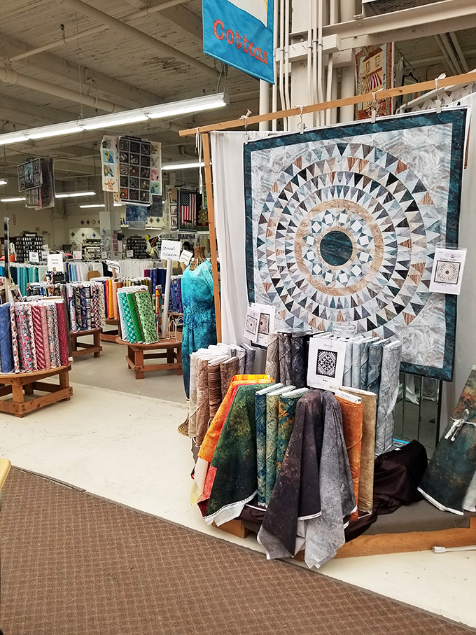 Quilting displays that transform fabric geometry into circular masterpieces, proving that math can indeed be beautiful.