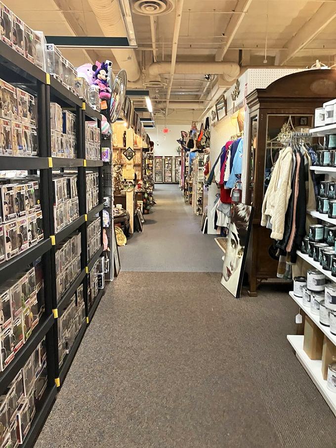 Pop culture paradise! From lunchboxes that carried PB&Js in 1975 to collectible figures still in their original packaging. Nostalgia, professionally merchandised.