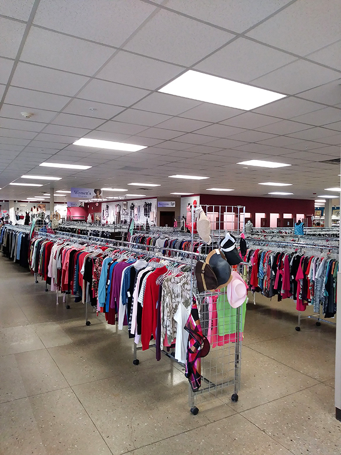 Between books and knickknacks lies a pathway to unexpected treasures. The best thrift stores are organized enough to browse but chaotic enough for surprises.