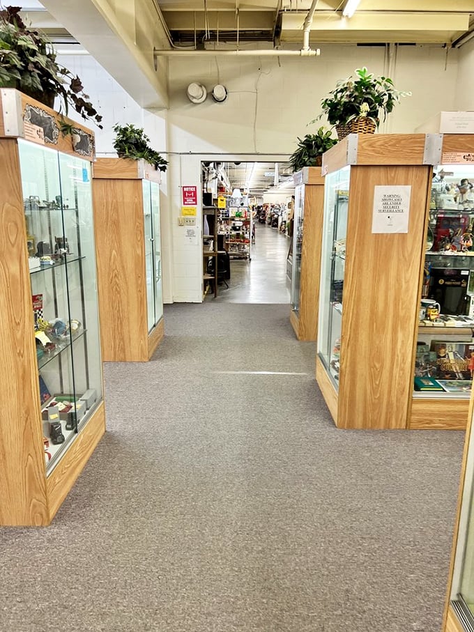 Display cases standing like sentinels, protecting miniature treasures. Each booth is a carefully curated collection reflecting its owner's obsessions and expertise.