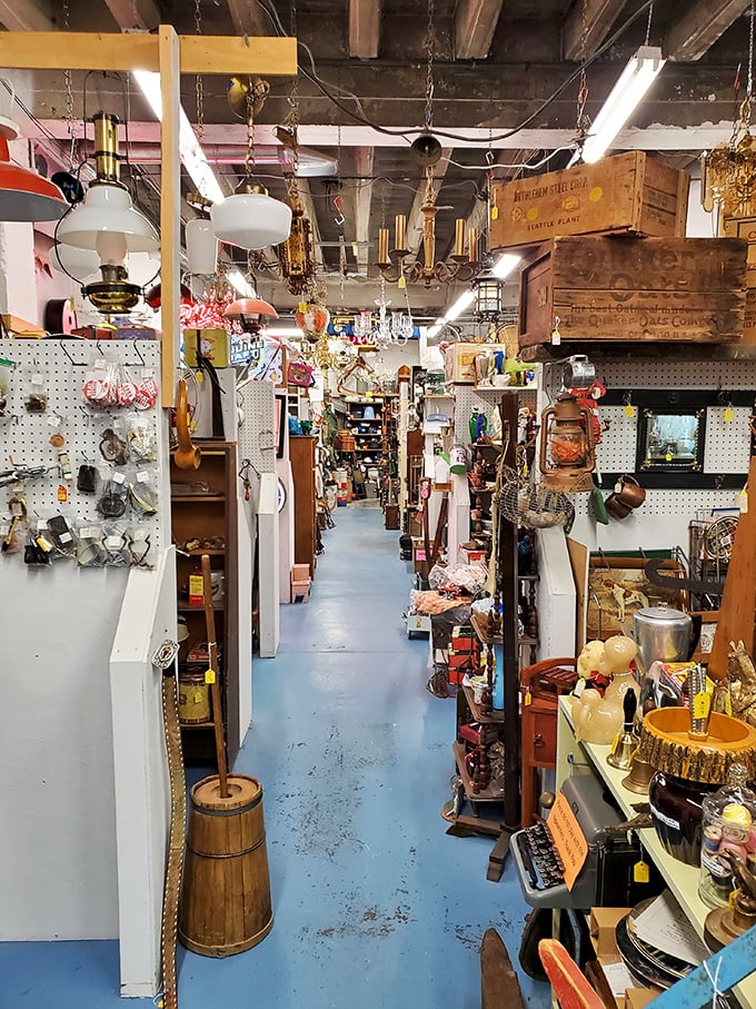Hanging lamps illuminate the journey through carefully curated chaos. The blue floor guides you through decades of American material culture.