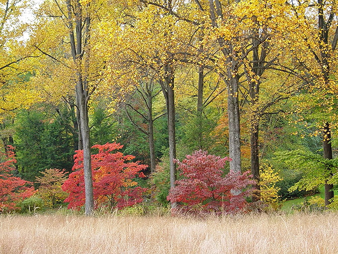 Fall foliage creates a tapestry of crimson and gold &ndash; proof that Delmarva's beauty extends well beyond summer months.