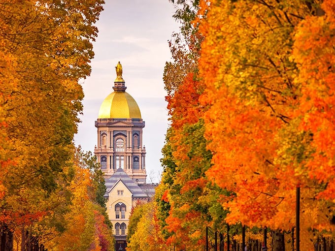 Fall foliage frames a distant golden dome in a scene so perfectly autumn it practically demands apple cider and a cozy sweater.
