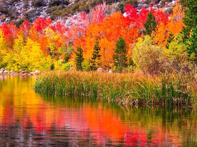 Autumn's fiery palette reflected in still waters creates nature's perfect mirror image&mdash;a double dose of seasonal splendor.