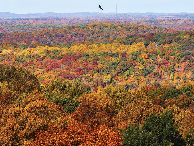 Fall foliage transforms southern Indiana's hills into a patchwork quilt of crimson and gold, making Corydon's autumn views worth every mile of the drive.