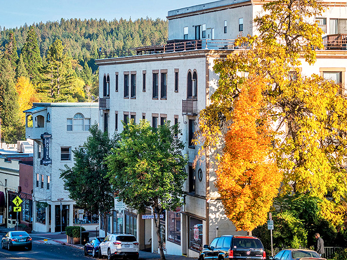 Autumn paints Grass Valley in impossible golds and ambers, as if the precious metal that built this town somehow seeped into the trees.