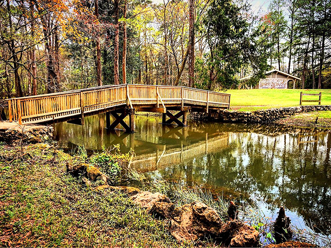 A wooden bridge spans tranquil waters, creating the perfect spot for contemplating life's big questions or just wondering what's for lunch.
