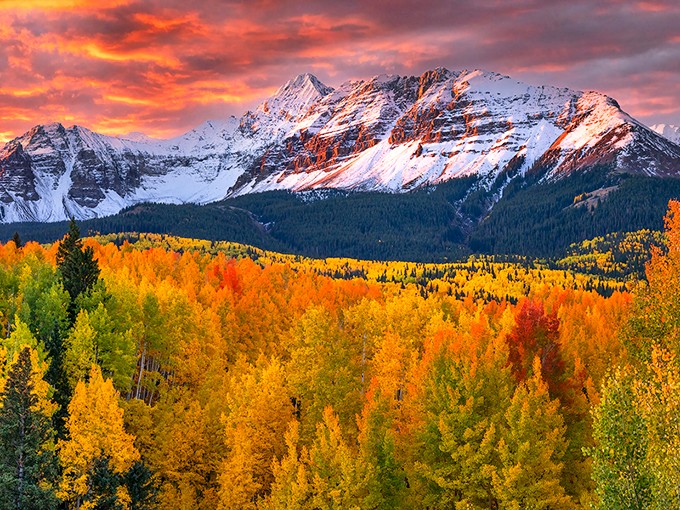 Fall in the San Juans puts on a color show that makes New England leaf-peepers question their life choices.
