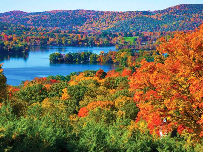 Fall foliage in Connecticut isn't just pretty&mdash;it's a riot of color so vibrant it makes you wonder if trees are competing in some arboreal fashion show.