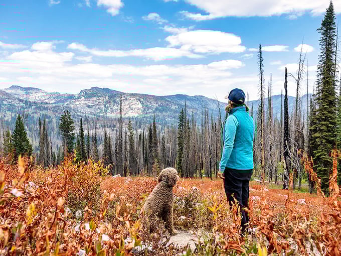 Fall hiking trails offer that perfect combination of exercise and eye candy. Your Fitbit and your Instagram will thank you equally.