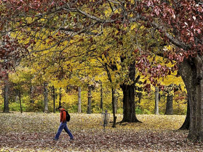 Fall in Marion paints the landscape in impossible yellows and reds, creating natural cathedrals perfect for contemplative walks through crunching leaves.