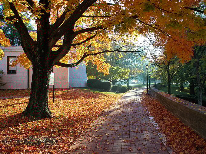 Fall foliage in Granville isn't showing off&mdash;it's simply fulfilling its annual promise to remind us why we endure Ohio winters.