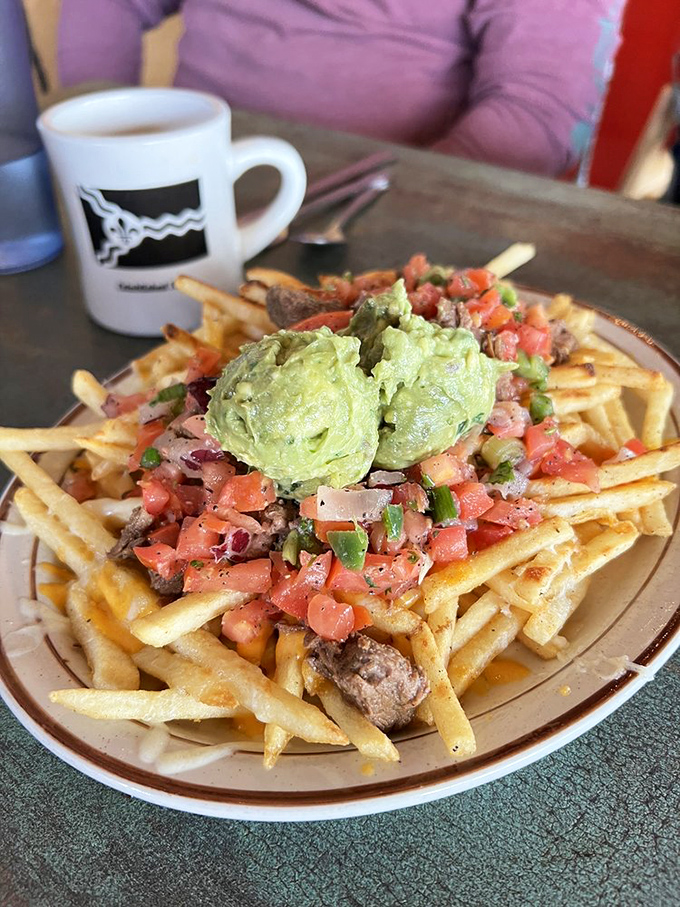 Fries elevated to main-character status with a supporting cast of barbacoa, pico de gallo, and avocado that deserves a standing ovation.