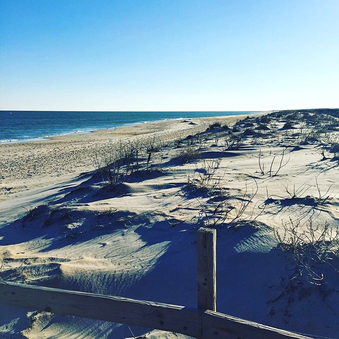 The pristine beaches near Berlin offer that rare combination of natural beauty and solitude that makes you want to keep them secret while simultaneously texting photos to everyone.