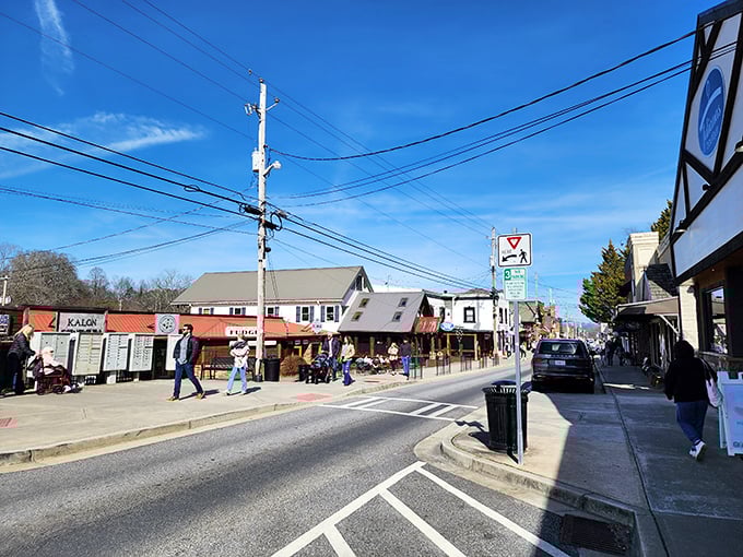Downtown Blue Ridge buzzes with energy as visitors and locals mingle on sidewalks. The kind of street where you'll want to slow down and savor.