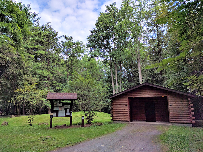 A log cabin that promises shelter without sacrificing your connection to the woods. Thoreau would have upgraded from Walden for this.