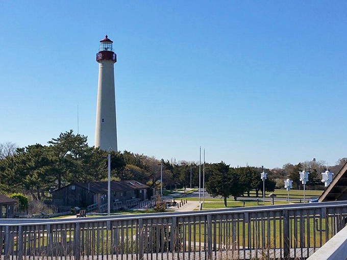 The Cape May Lighthouse stands tall &ndash; a maritime exclamation point that's guided ships, inspired painters, and tortured the calves of countless tourists.