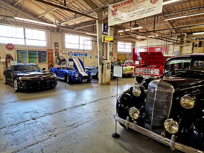 A symphony of automotive excellence spanning decades. From vintage elegance to modern muscle, the museum covers every chapter of car culture.