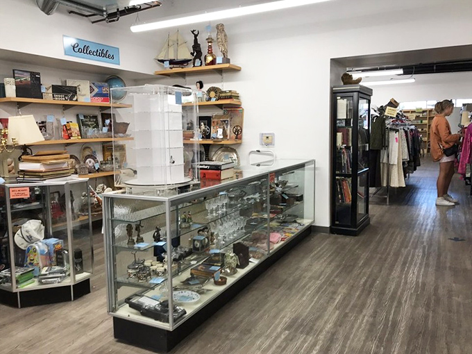 The collectibles section is where childhood nostalgia meets adult purchasing power in glass cases of carefully curated memories.