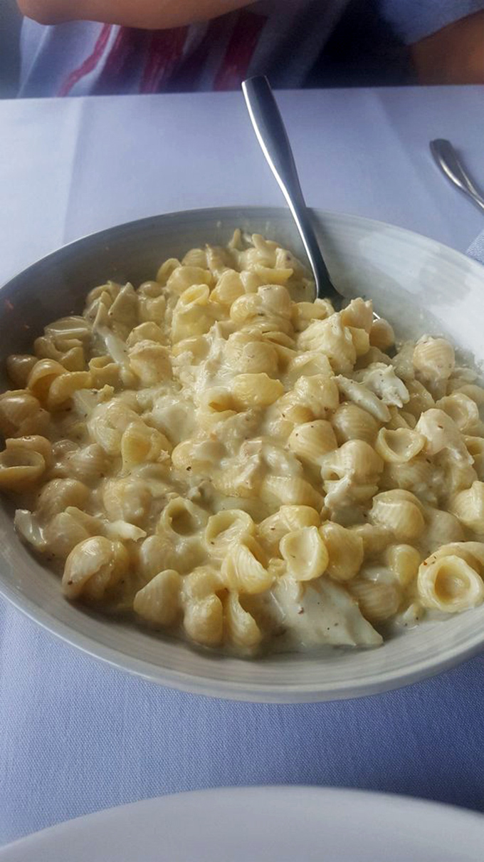 Mac and cheese grows up and goes to finishing school in this creamy, shell-studded masterpiece that makes comfort food feel downright sophisticated.