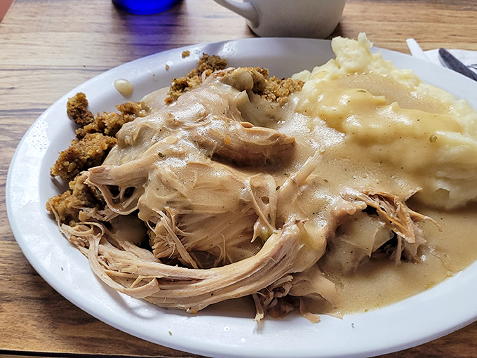 Turkey and gravy spread across the plate like a warm blanket, the kind of meal that inspires afternoon naps and happy memories.