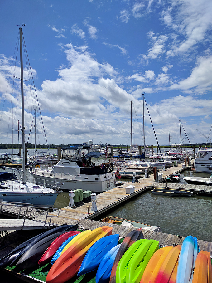 Sailboats and kayaks share dock space in democratic harmony, a colorful reminder that Beaufort's waters welcome adventurers of all stripes.