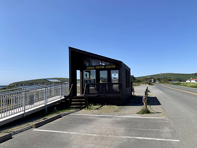 The Doran Regional Park Visitor Center sits like a friendly sentinel at the edge of paradise, ready to answer the eternal question: "Where can I see more birds?"