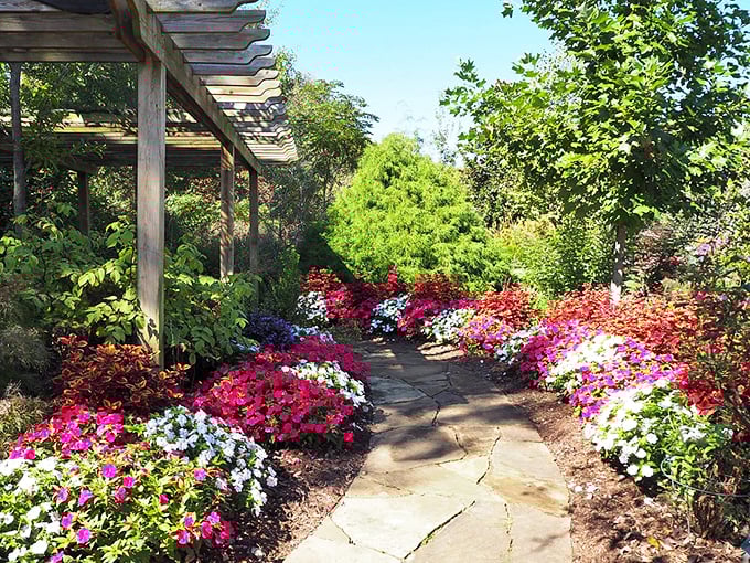 This explosion of pink, white, and red flowers creates a pathway that would make even Dorothy forget about her yellow brick road.