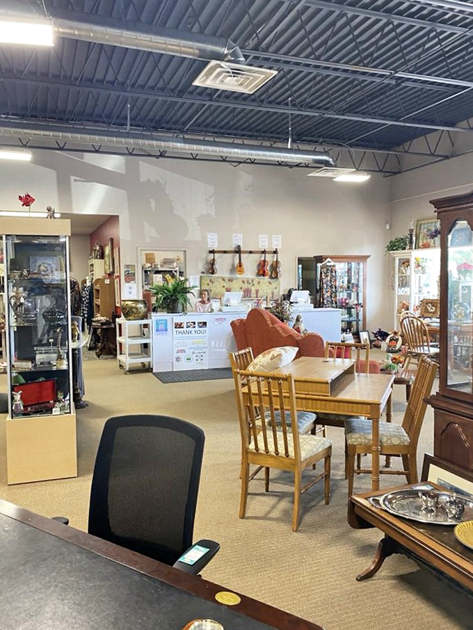 Musical instruments and dining sets coexist in perfect harmony, creating unexpected vignettes that spark imagination and renovation plans.