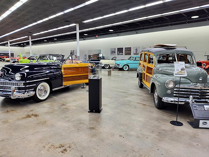 The museum's thoughtful layout lets each automotive treasure shine, creating a gallery where mechanical art spans decades of innovation. 