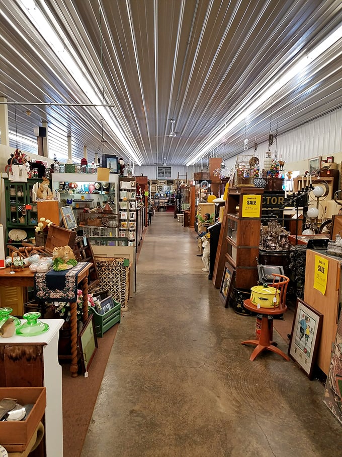 Literary lane! From vintage magazines to forgotten paperbacks, this aisle is where bibliophiles can stock their shelves without breaking the bank.