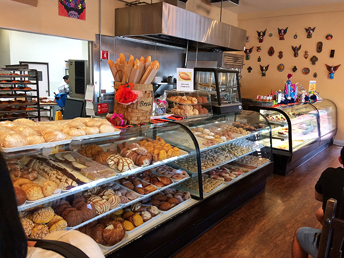 Behind the counter, where the magic happens. Those display cases hold more happiness per square inch than most amusement parks.