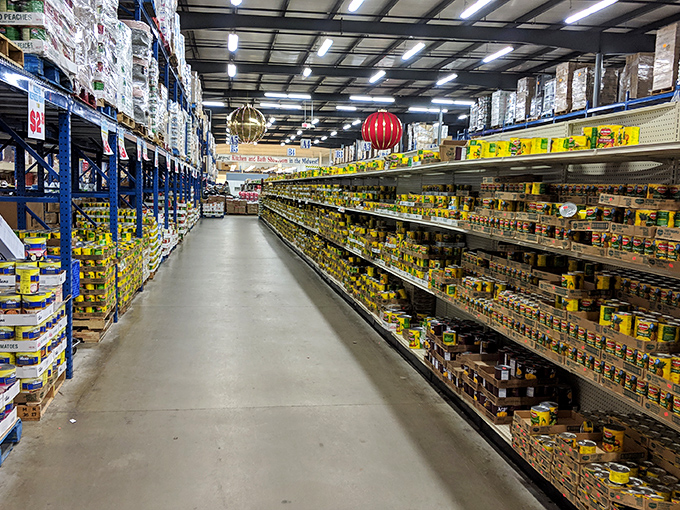 Grocery aisles that stretch like yellow brick roads of savings. The canned goods section alone could sustain a small community through winter.