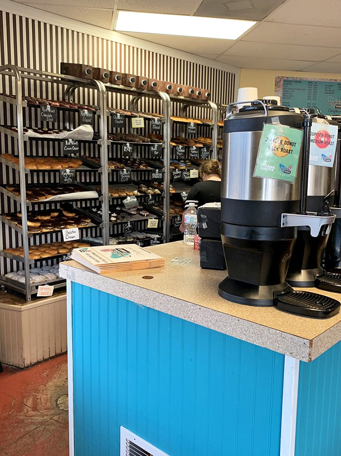Morning light illuminates the donut sanctuary. Each rack tells a story of early morning baking and recipes perfected over countless batches.