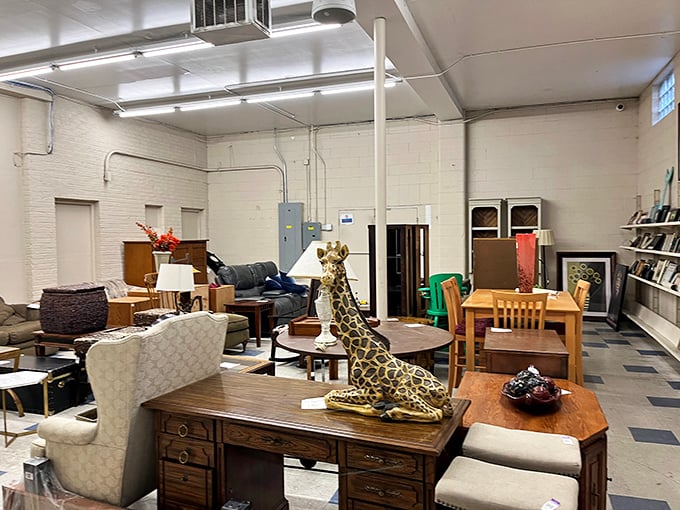 Furniture showroom magic where that perfect desk, chair, or decorative giraffe (yes, really!) might be waiting for you.