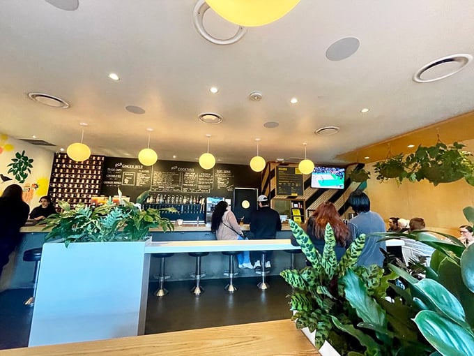 Plants and pendant lights create an oasis of calm amid the chicken frenzy. The perfect setting for making important life decisions, like "Should I order seconds?"