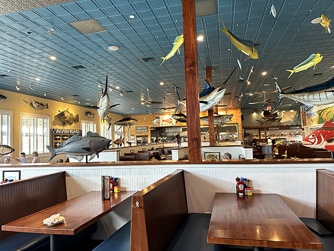 Fish suspended from the ceiling like they're swimming through air. The booth seating creates intimate islands in this sea of deliciousness.