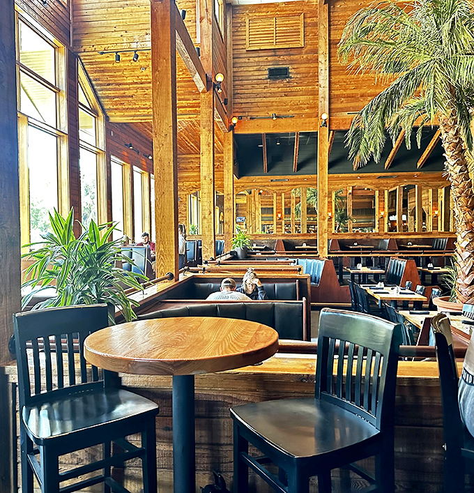 Natural light streams through windows illuminating not just tables, but the promise of perfect meals waiting to happen.