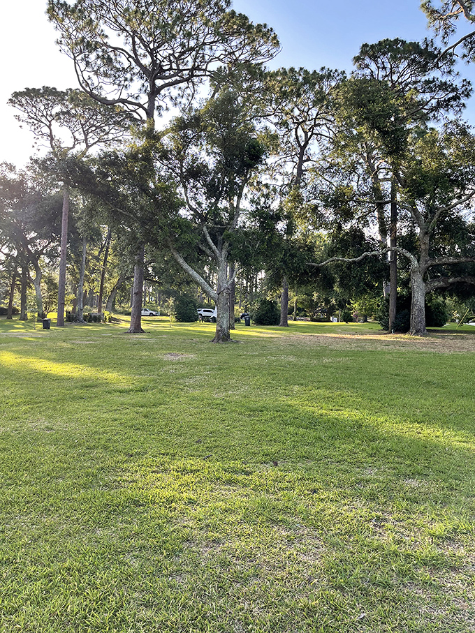 Knoll Park offers that quintessential Southern landscape&mdash;majestic pines creating dappled shade on grass that practically begs for a picnic blanket.