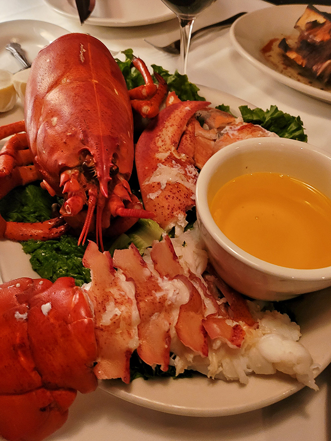 This lobster didn't dress up just to be ignored. With drawn butter standing by, it's the oceanic equivalent of a tuxedo-clad gentleman waiting for his dance.