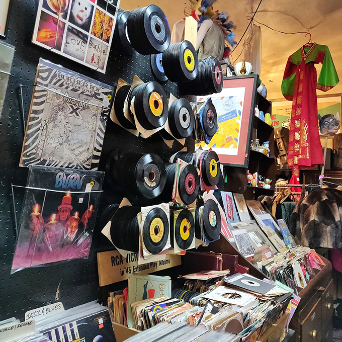 Vinyl records create a wall of musical history, their colorful centers like target practice for music lovers. Digital streaming can't capture this tactile joy.